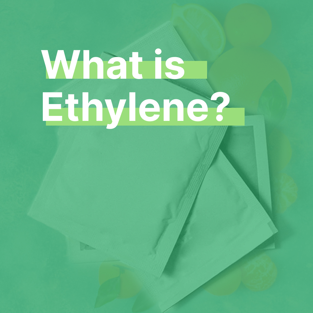 Ethylene Absorber Sachets Keep Produce Fresher | Vita Guard